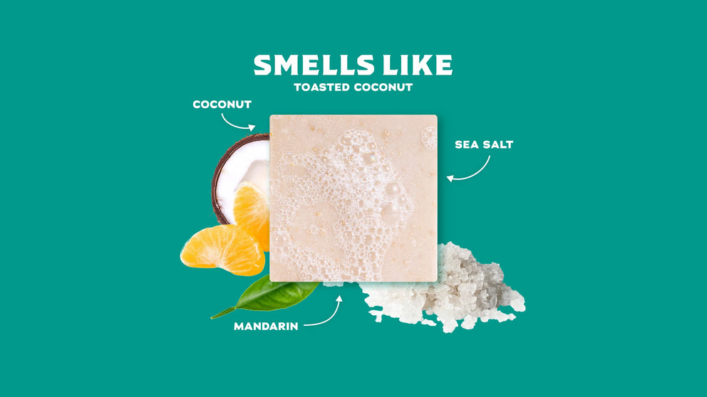 Coconut Castaway - Dr. Squatch